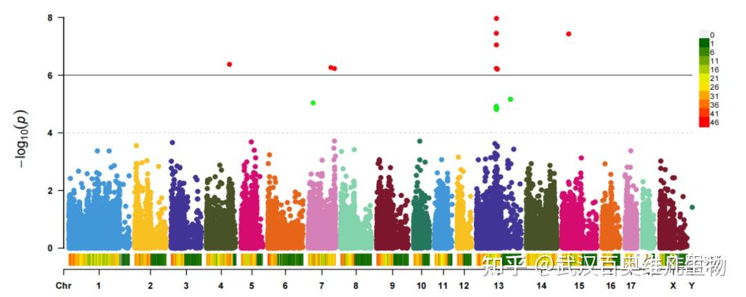 R语言|CMplot包绘制环形曼哈顿图 - 知乎