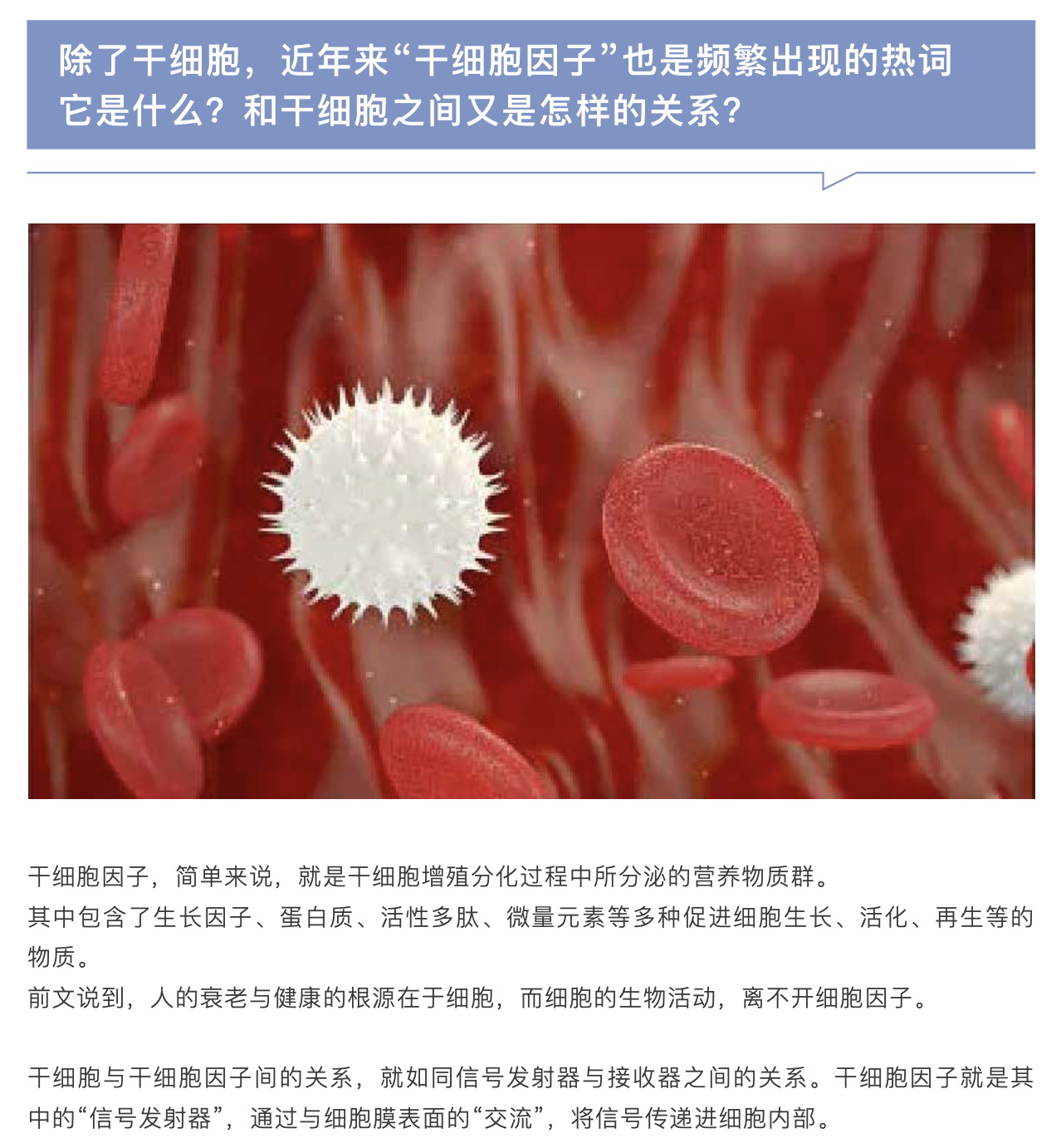 CELLIN细胞里：有关干细胞的那些事儿（科普系列EP3） - 知乎