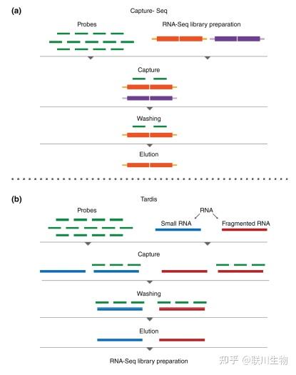 干货|一篇文章带你了解用于转录组分析的RNA-seq方法 - 知乎