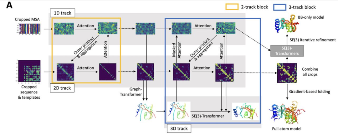 谷歌提前开源AlphaFold 2！Nature、Science同时公开两大蛋白质结构预测工具 - 知乎