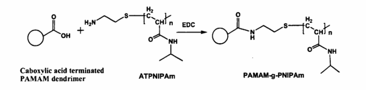 白色的温敏性PNIPAM-PAMAM /聚酰胺偶联聚N-异丙基丙烯酰胺树枝状高分子球形共聚物 - 知乎