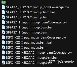 ChIP-seq数据分析全流程实战详解-pHGG的组蛋白修饰分析 - 知乎