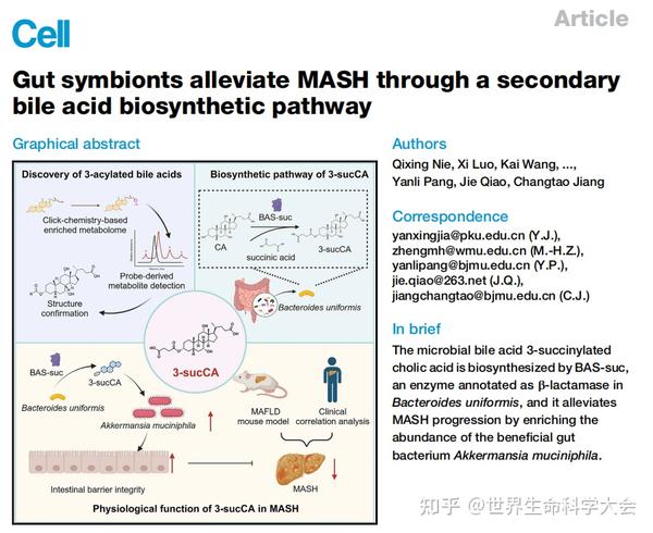 Cell | 影响MASH的新型菌源胆汁酸 - 知乎