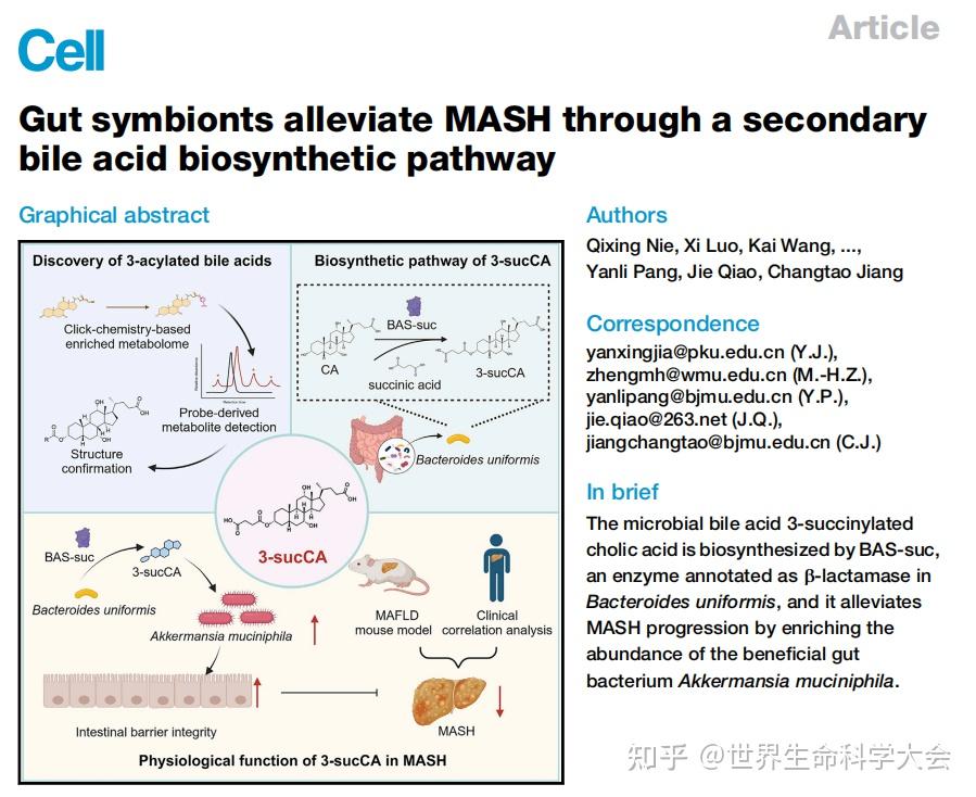 Cell | 影响MASH的新型菌源胆汁酸 - 知乎