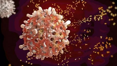 国际期刊推荐:BLOOD CANCER JOURNAL - 知乎