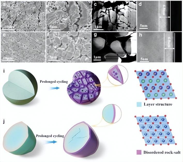 金浪CLE南京锂电展｜锂电三元材料：单晶和多晶对比 - 知乎