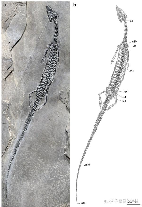 第二百八十五回 幽蓝幻想曲1：黎明的海岸线 - 知乎