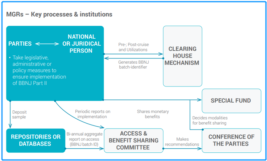 公海新报告出炉：BBNJ详解，迈向全球海洋生物多样性新纪元 - 知乎