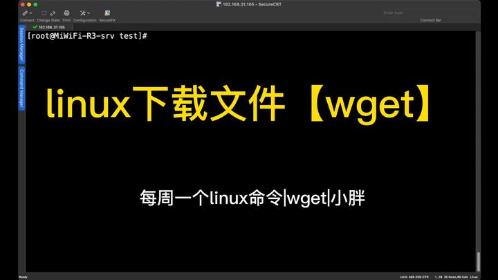linux文件下载[wget] - 知乎