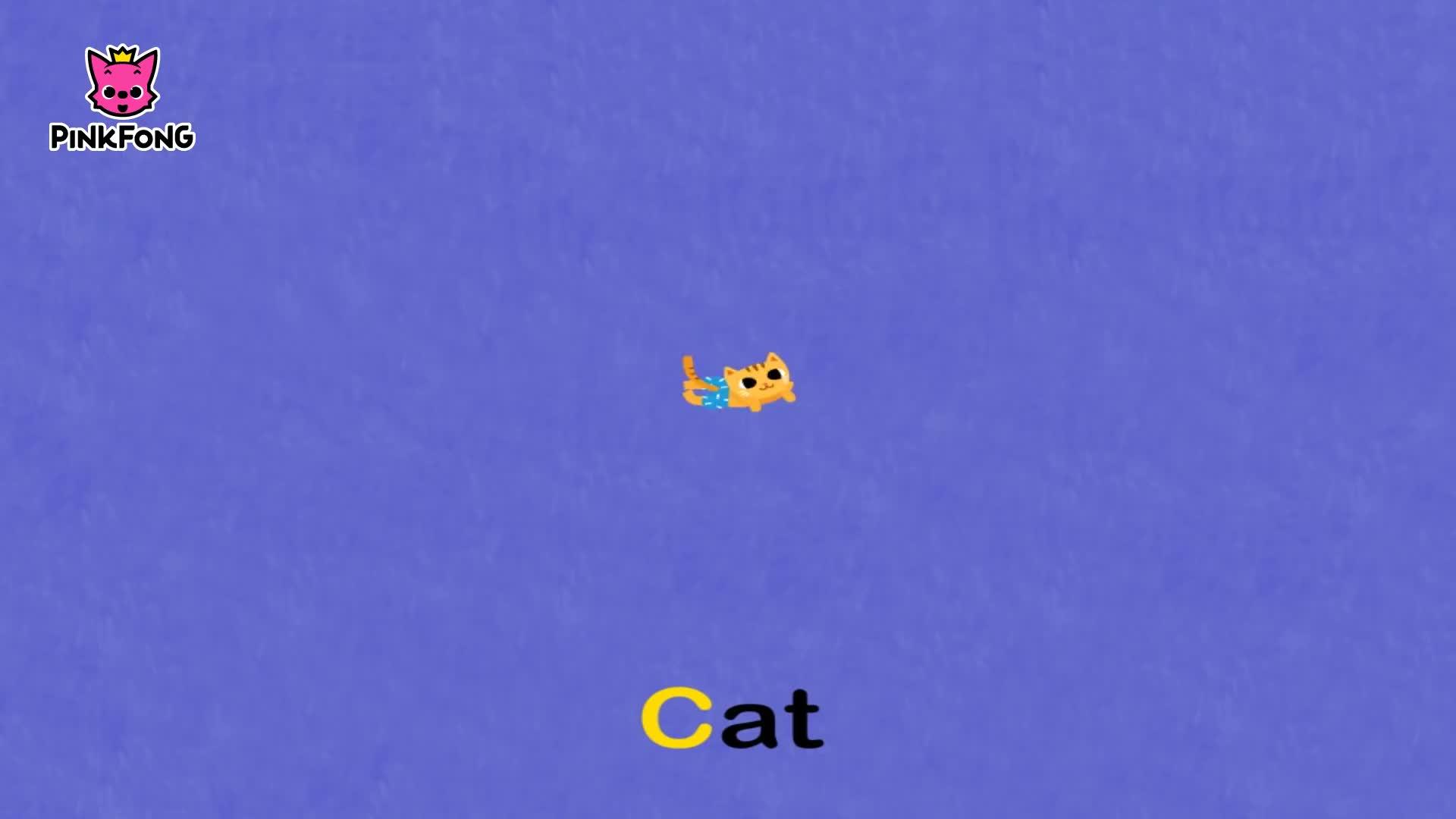 Pinkfong英文儿歌-C Cat ABC Alphabet Songs - 知乎