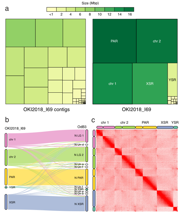 最新最全！10个物种的15篇T2T基因组文章汇总！ - 知乎