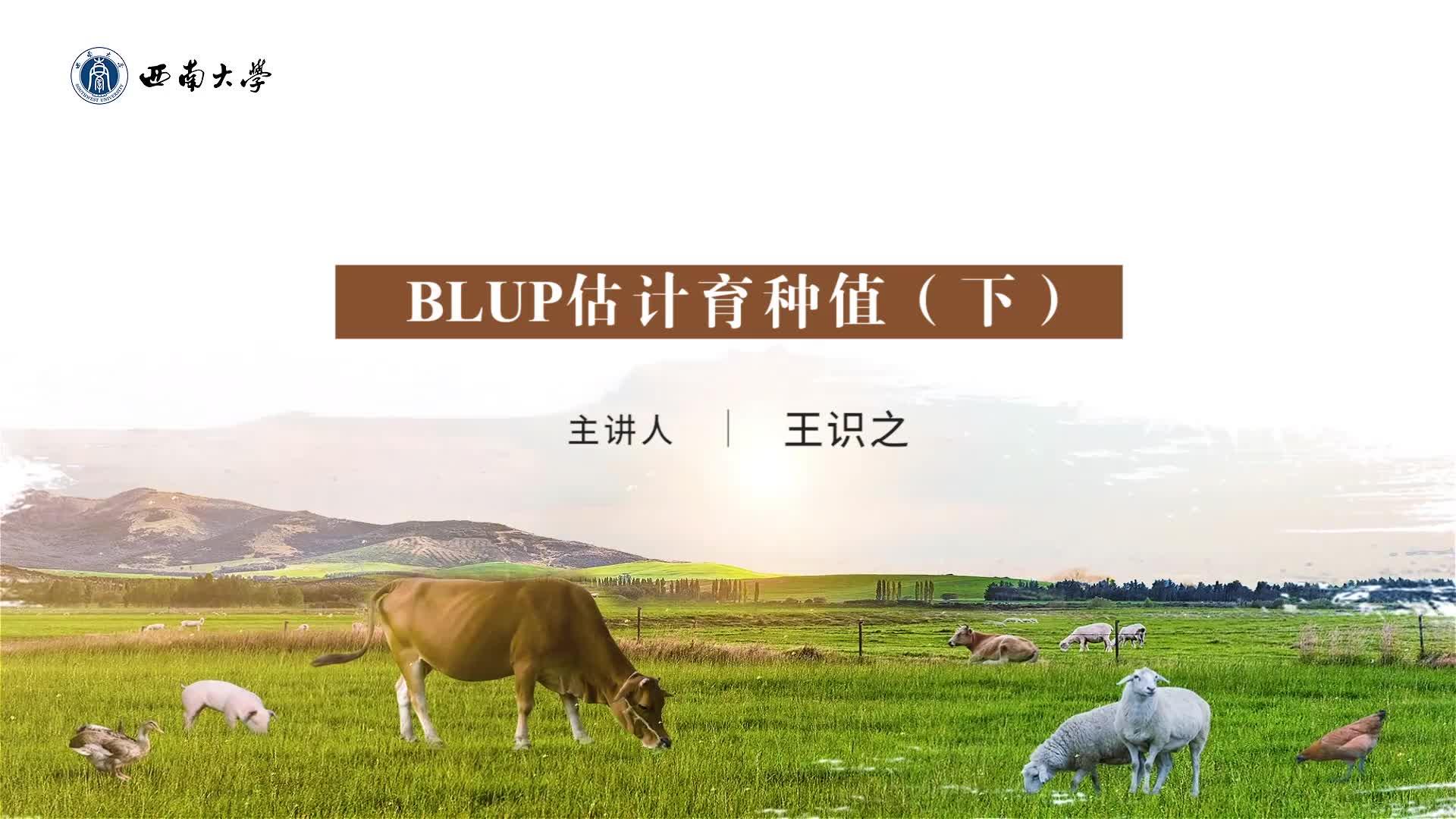 BLUP估计育种值EBV（下）- BLUP运算实例 - 知乎