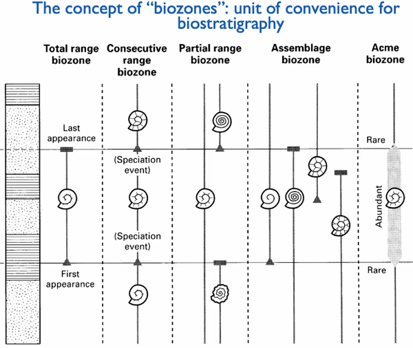 【地层学基础】第7讲：年代地层学Chronostratigraphy(2/7) - 知乎