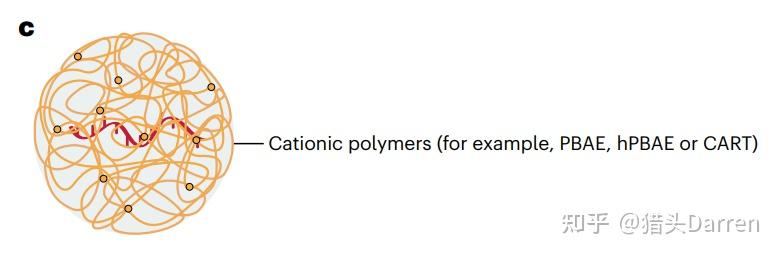 mRNA纳米药物全景解读 - 知乎