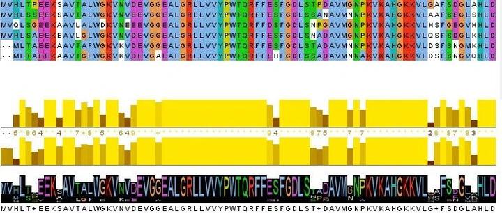 Jalview | 多序列比对图中显示序列标识 - 知乎