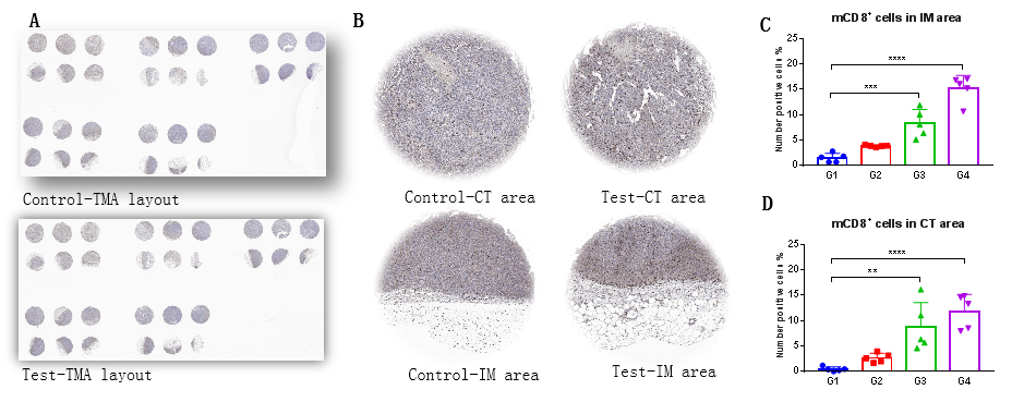 强强联合 | TMA&TSA助力生物医药产业创新发展 - 知乎