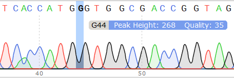 Sanger 结果实例解读 - 知乎