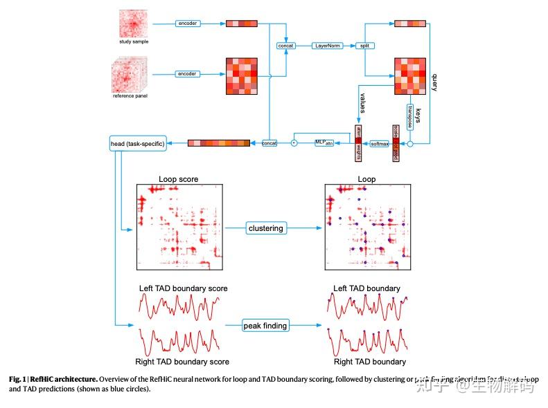 每日文摘 | 2022年12月06日 - 知乎