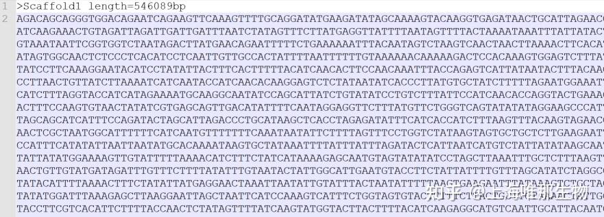 细菌基因组注释软件Bakta安装、使用和结果解读 - 知乎