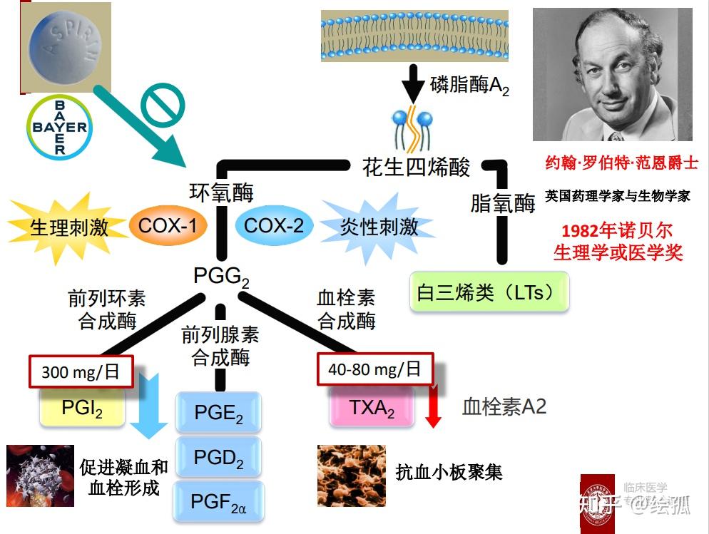 【循环系统6.2】【药理学】冠心病治疗相关药物 - 知乎