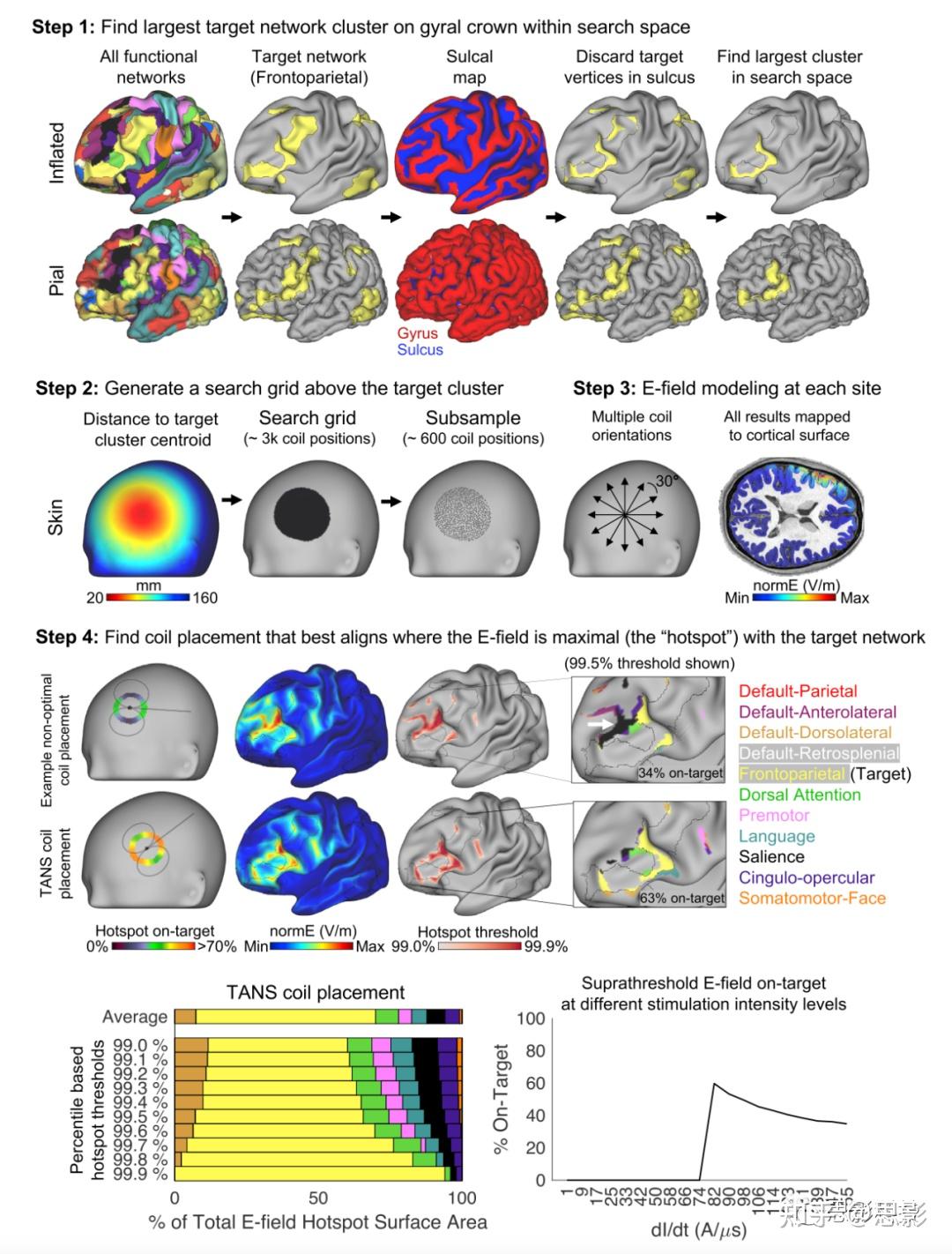Neuron：自动优化TMS线圈放置，实现个性化靶向功能网络刺激 - 知乎