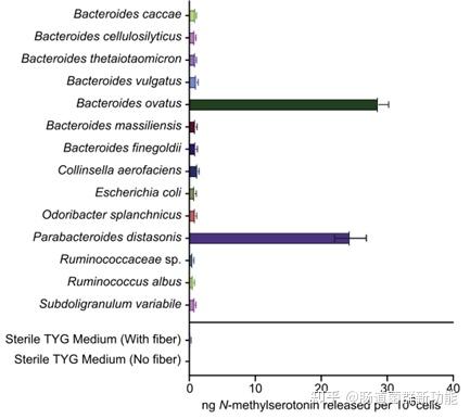 卵形拟杆菌(Bacteroides ovatus)在肠道内帮助你释放橘纤维中有益的“隐生元” - 知乎