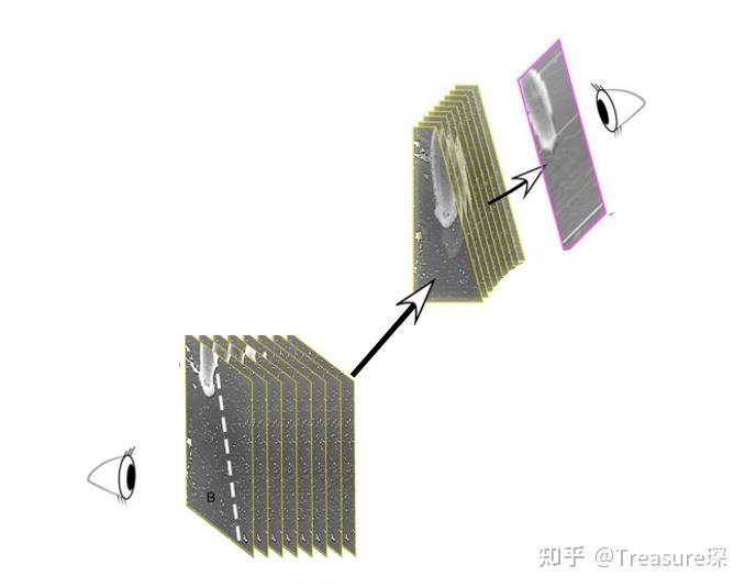 ImageJ实用教程——3D Stack Reslice(基本功能篇) - 知乎