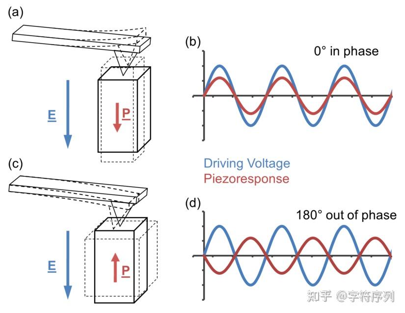 PFM 压电力显微镜原理详解，各个通道，参数代表什么，应用，问题 - 知乎