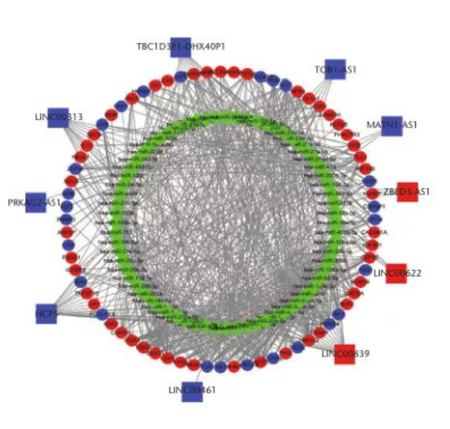 发5+的CERNA网络，秒懂！！！！ - 知乎