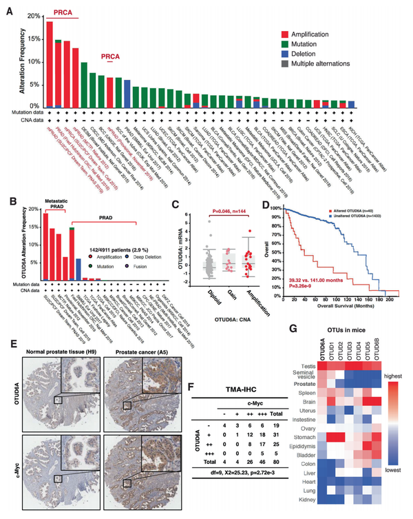 Cell Death Differ︱龙建纲/刘健康/张令强合作报道前列腺特异性癌基因OTUD6A促进前列腺癌发生机制 - 知乎