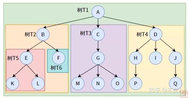 一文带你搞定【二叉树】 知乎 