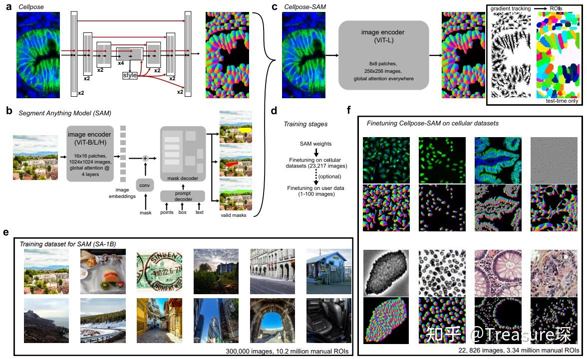 Cellpose-SAM —— 超人类水平的细胞分割 - 知乎
