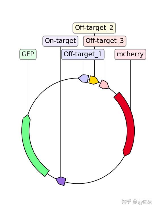 DNA Features Viewer 绘图入门 - 知乎