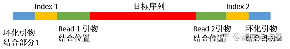 高通量测序（NGS）中Index的作用（一） - 知乎