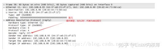 一文讲解--ARP协议详解 - 知乎