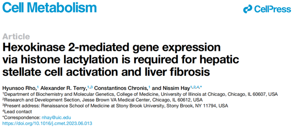 Cell Metabolism（IF:29）如何用“糖酵解+乳酸化”两大国自然热点讲好故事，看看这篇文章 - 知乎