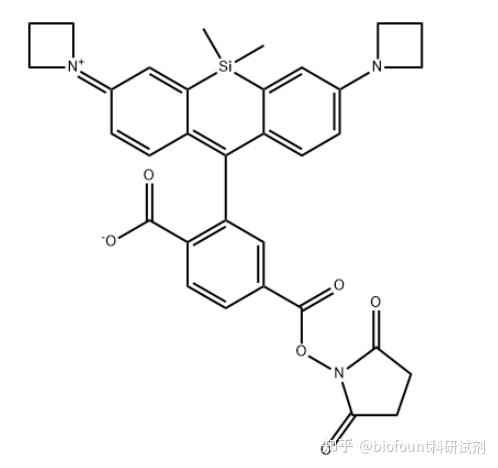 Janelia Fluor646,SE；伯胺基团偶联物 - 知乎
