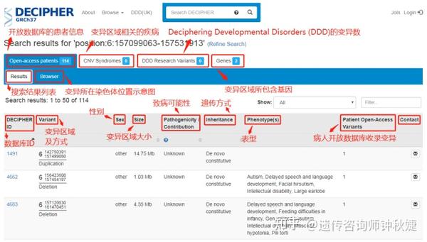 Decipher v9.26数据库使用方法 - 知乎