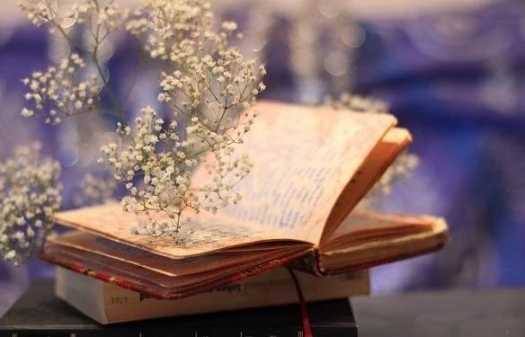 什么是 Fully Qualified Domain Name(FQDN) - 知乎