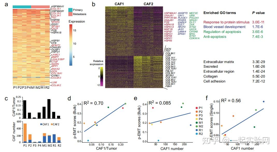 单细胞RNA测序分析识别上皮性卵巢癌复发的启动者 - 知乎