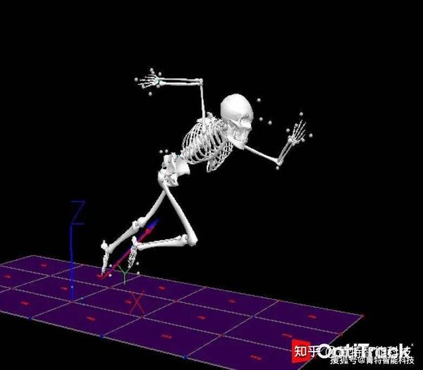OptiTrack在运动分析领域的应用 - 知乎