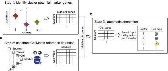 这个R包自动注释单细胞数据的平均准确率为83％，使用后我的结果出现了点问题|附全代码 - 知乎