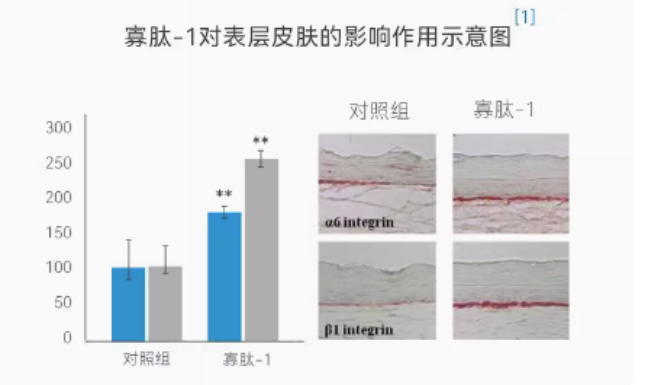 男生黑头又多又油腻，还挤不完！皮肤科医生教你15天专业【男士去黑头】方法，陈年黑头也能连根拔起，不反复！