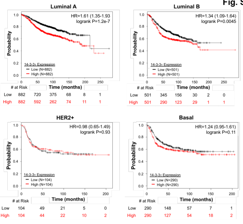 PNAS | 控制进出核的古老信号蛋白14-3-3调节乳腺癌进展关键分子 - 知乎