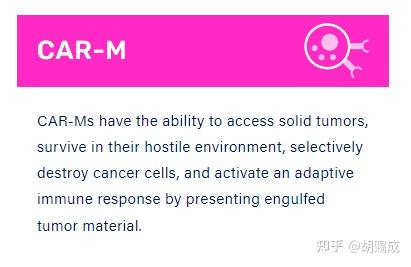 攻克实体瘤再添一员！CAR-M细胞疗法显示实体瘤治疗新希望 - 知乎