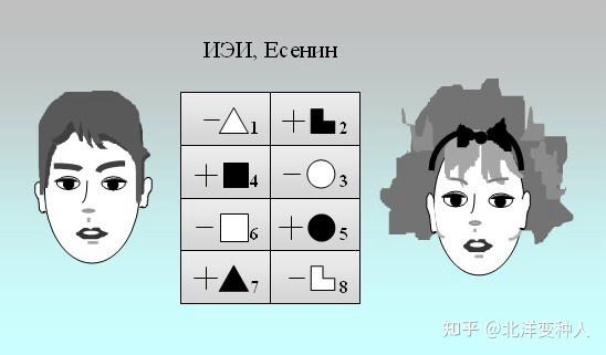 【Socionics】Stratievskaya网站上的类型面相画像 - 知乎