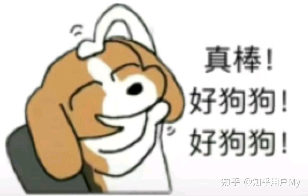 分享一张你今年最常用的狗狗表情包？ - 知乎