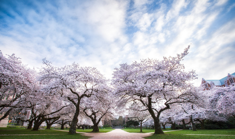 【前辈说】UW MSIS项目介绍/课程设计/学习情况/就业情况/生活体验 - 知乎