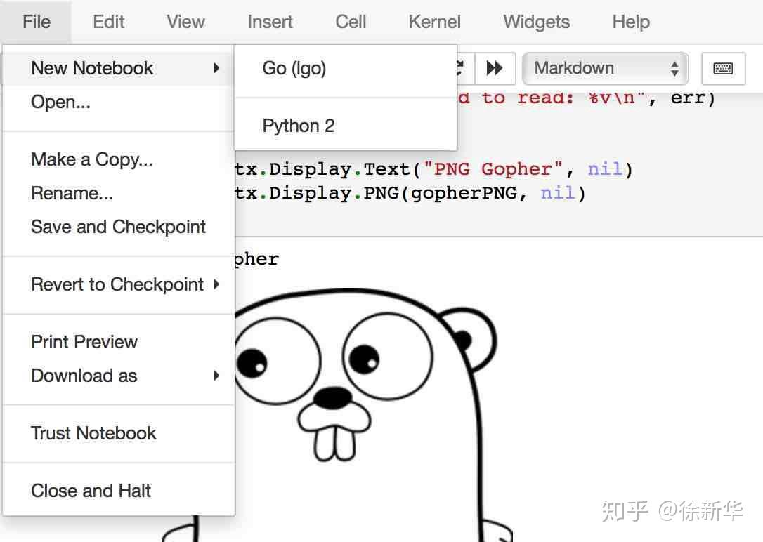 与 Jupyter 交互的 Go 编程 - 知乎