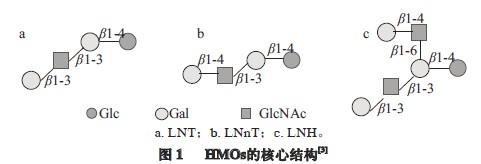 浅谈母乳低聚糖（HMOs） - 知乎